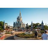 How to Get a Job at Disney: A Yellow Brick Path to the Dream Skillroads ...